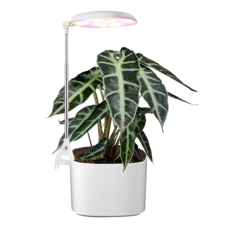 Lámpara de luz led para crecimiento de cultivos indoor 10w - FullStore ...